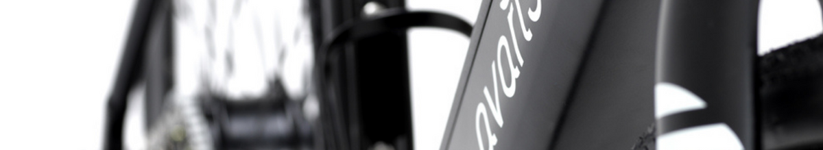 Shop Online: Avaris Electric Bikes – Eco Bike Co