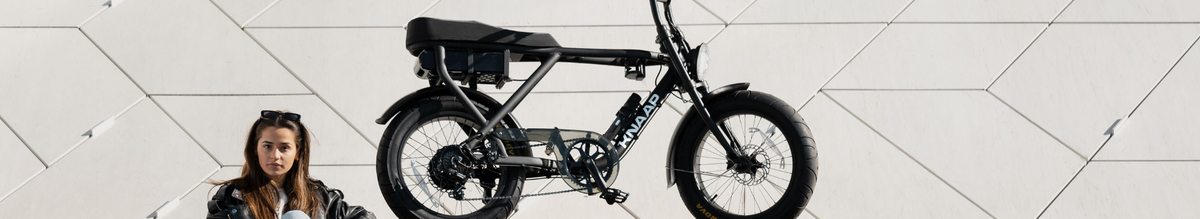 Shop Online: Knaap Electric Bikes | Eco Bike Company