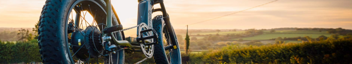 Shop Online: Synch Electric Bikes | Eco Bike Company