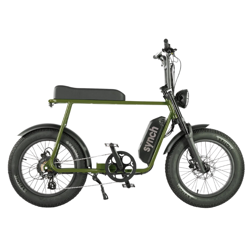 Synch Super Monkey Electric Bike 250W | Eco Bike Co.