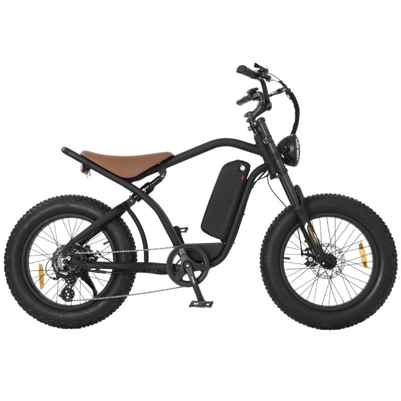 RooDog Rogue Fat Tyre Electric Bike | Eco Bike Co.